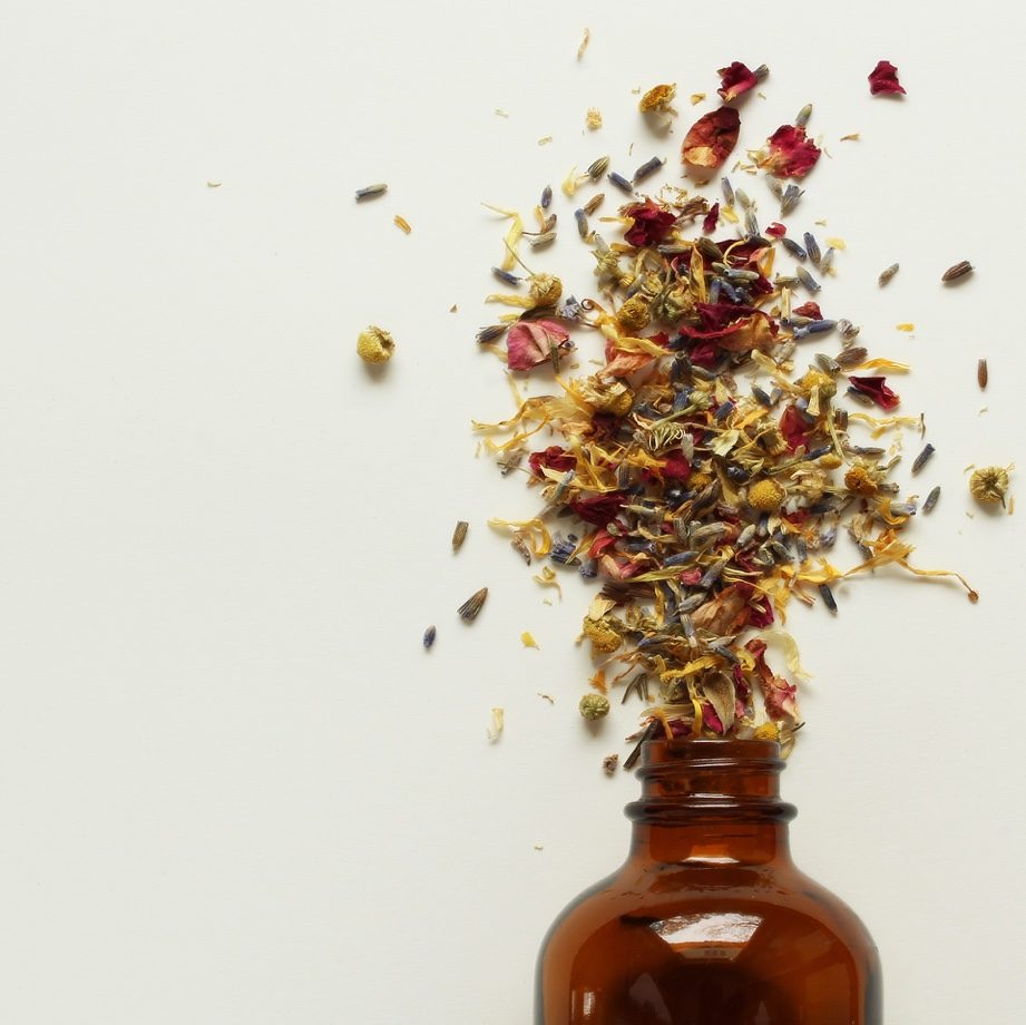 Discovering Ecosystem Balance Through Wildcrafting | Avocado Green ...