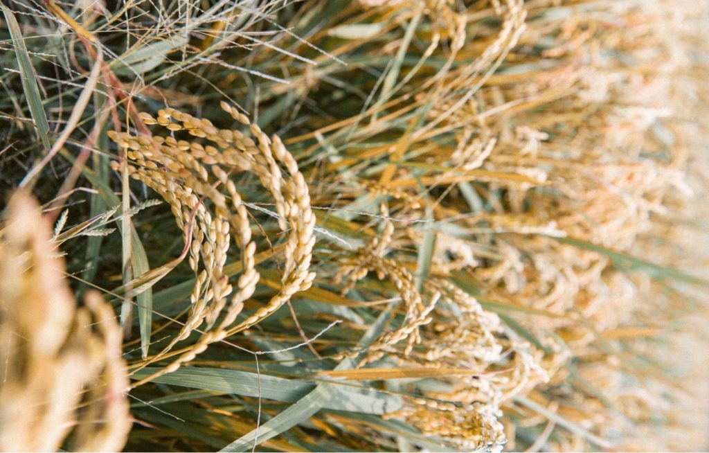 3 Amazing Environmental-Science Activities to Do With Your Kids ...