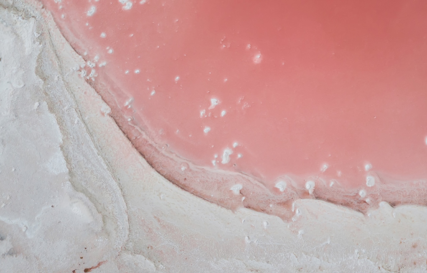 A Lip Balm for Rapid Healing | Avocado Green® Magazine