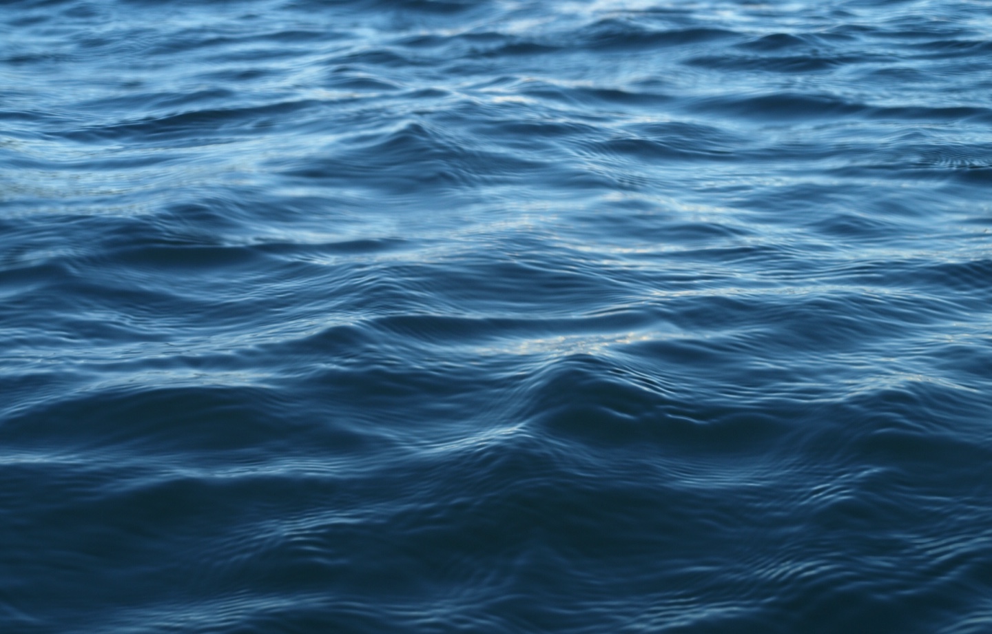 How Cold Water Swimming Supports Mental Health | Avocado Magazine